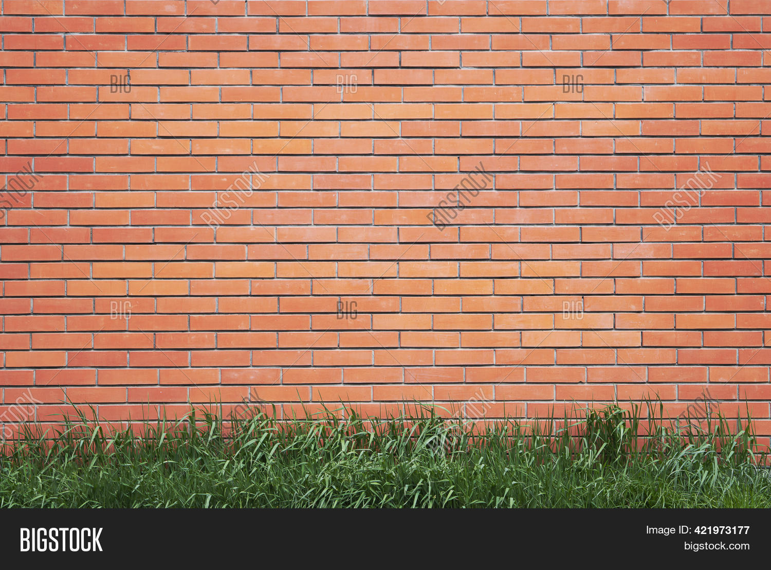 Stained Brick Wall Image & Photo (Free Trial) | Bigstock