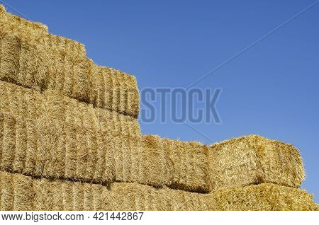 Rectangular Stacks Dry Image & Photo (Free Trial) | Bigstock