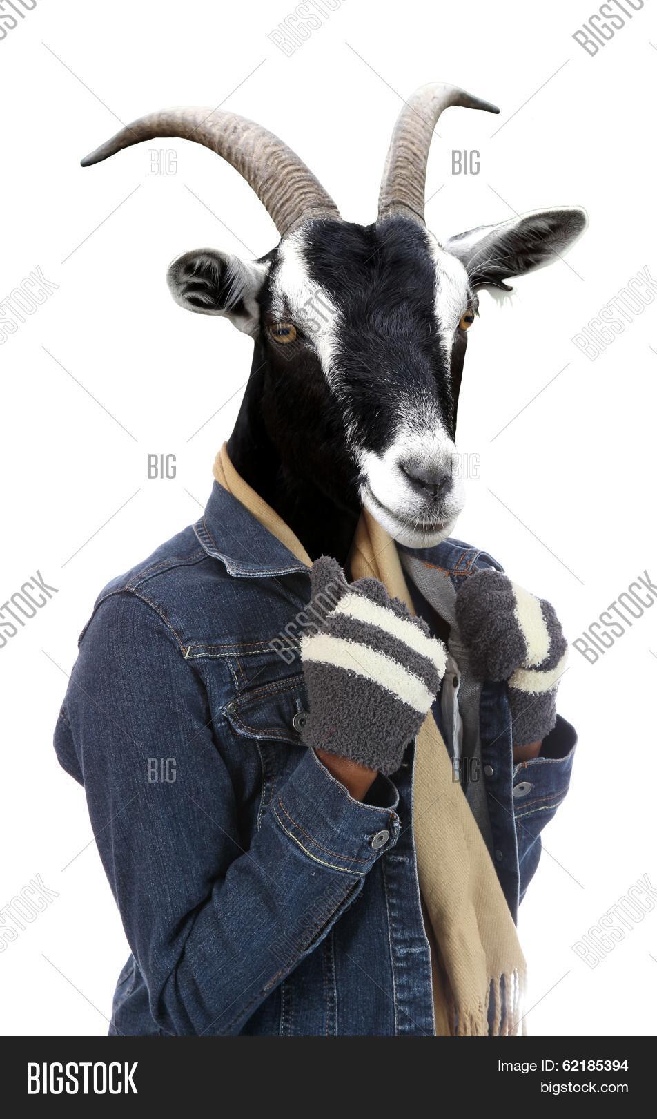 Goat Dressed Woman's Image & Photo (Free Trial) | Bigstock