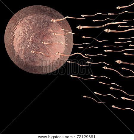 Human Copulation Images, Illustrations & Vectors (Free) - Bigstock