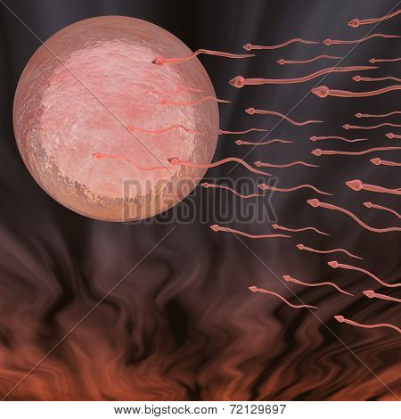 Human Copulation Images, Illustrations & Vectors (Free) - Bigstock