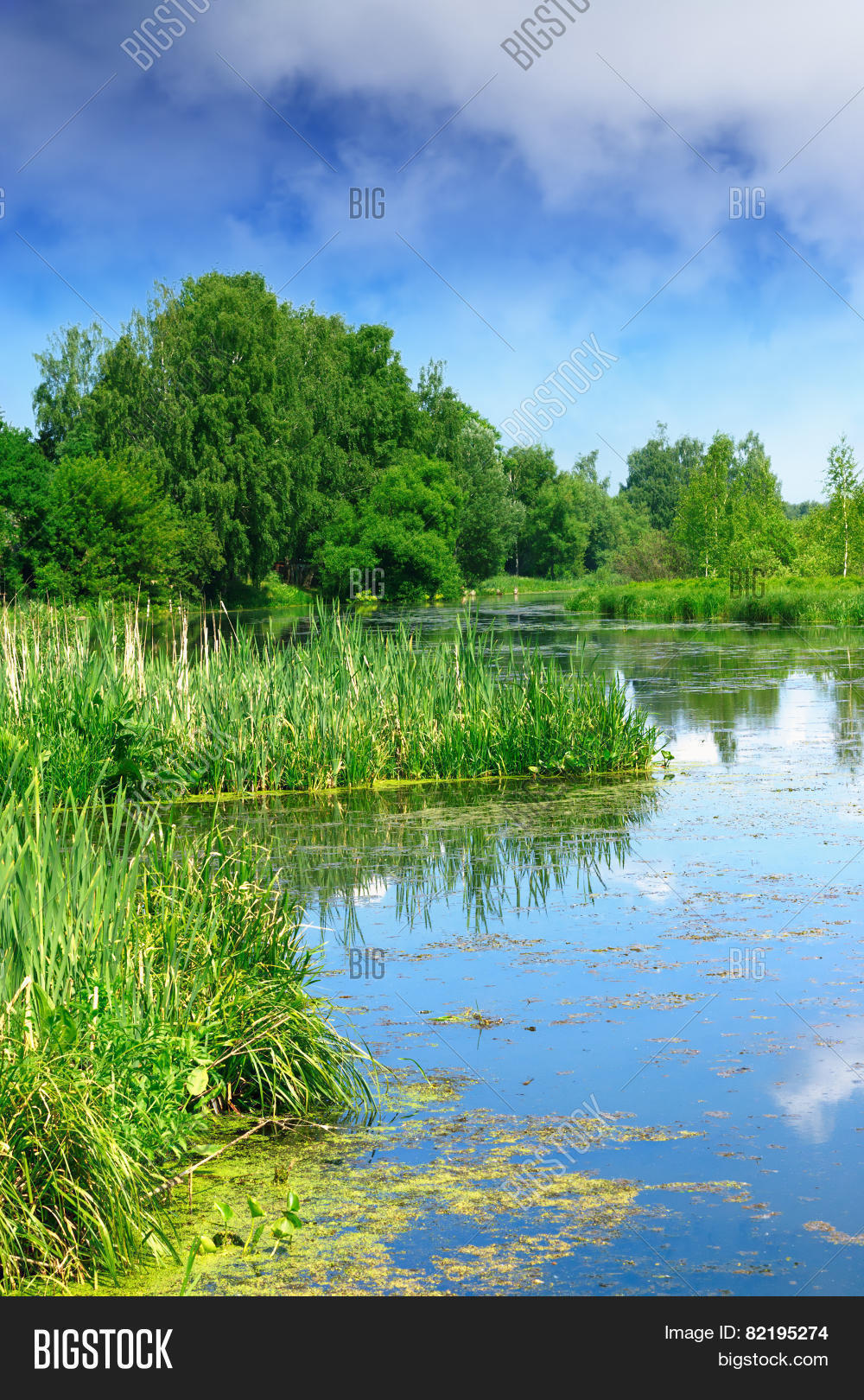 Beautiful Summer River Image & Photo (Free Trial) | Bigstock