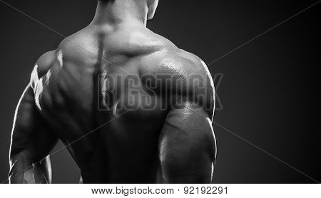 Muscled Male Model Image & Photo (Free Trial) | Bigstock