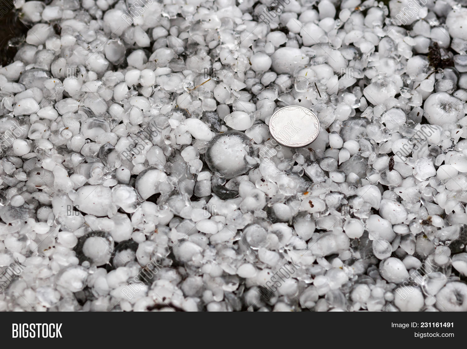 Hail Sized Larger Coin Image & Photo (Free Trial) | Bigstock
