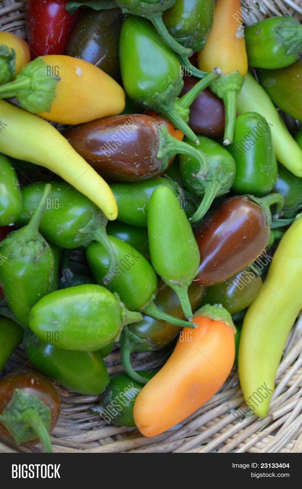 Mixed Chili Peppers Image & Photo (Free Trial) | Bigstock