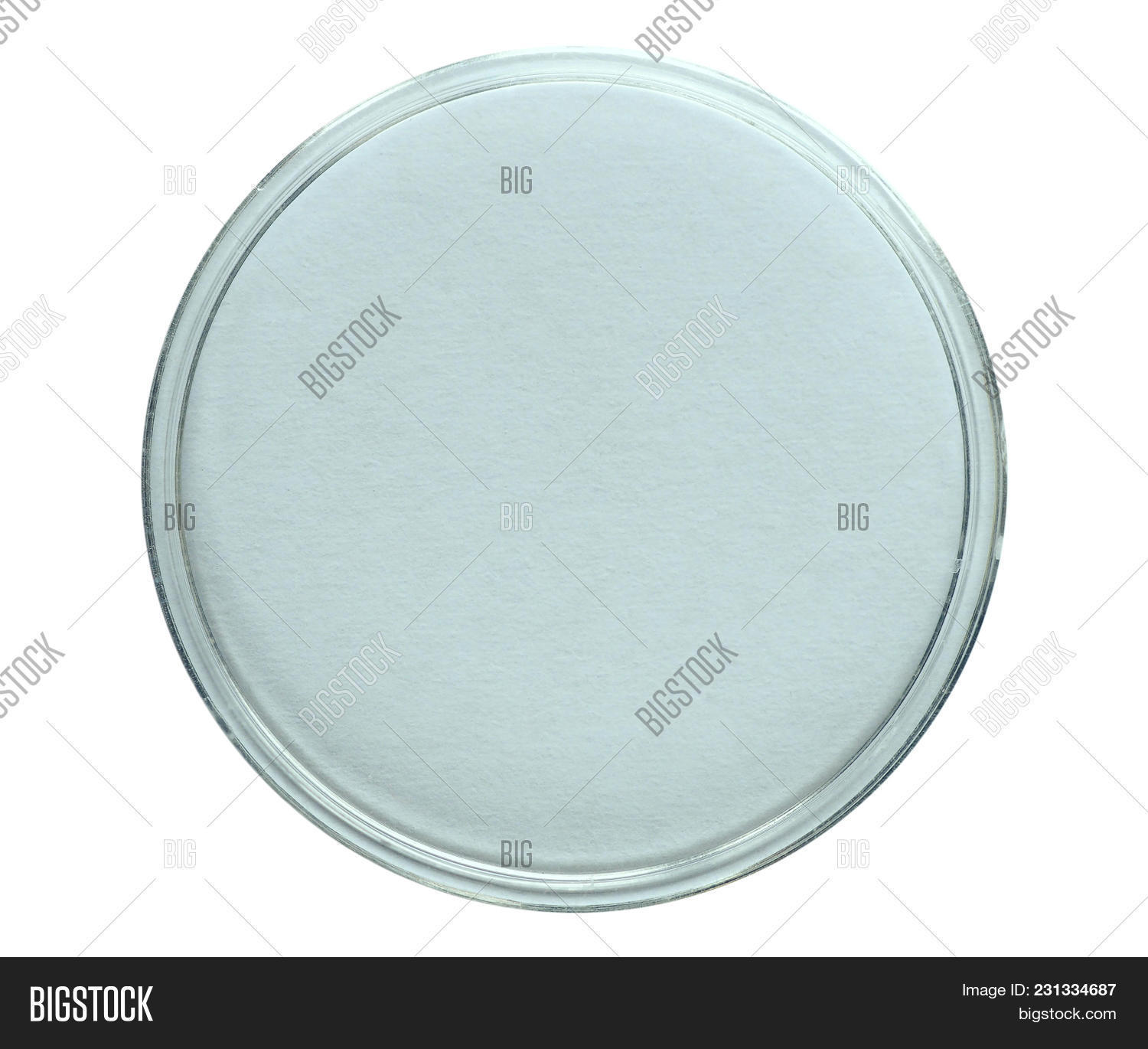 Petri Dish (aka Petrie Image & Photo (Free Trial) | Bigstock