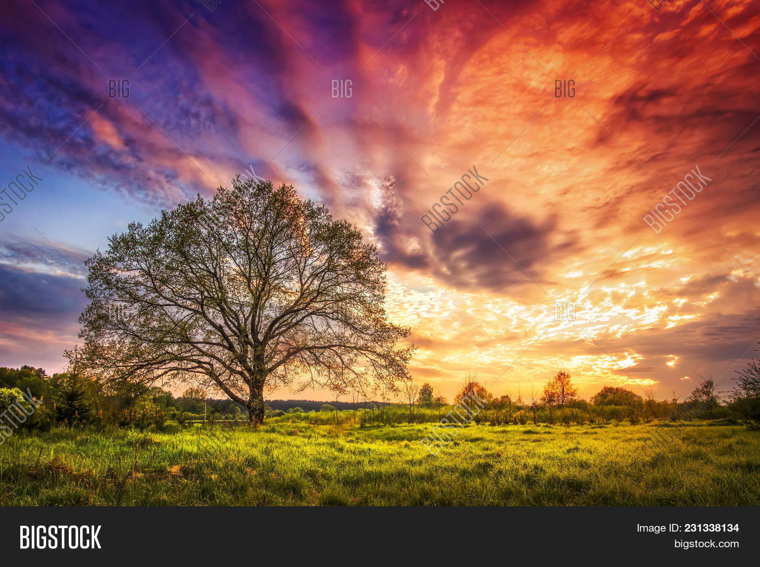 Majestic Landscape Image & Photo (Free Trial) | Bigstock