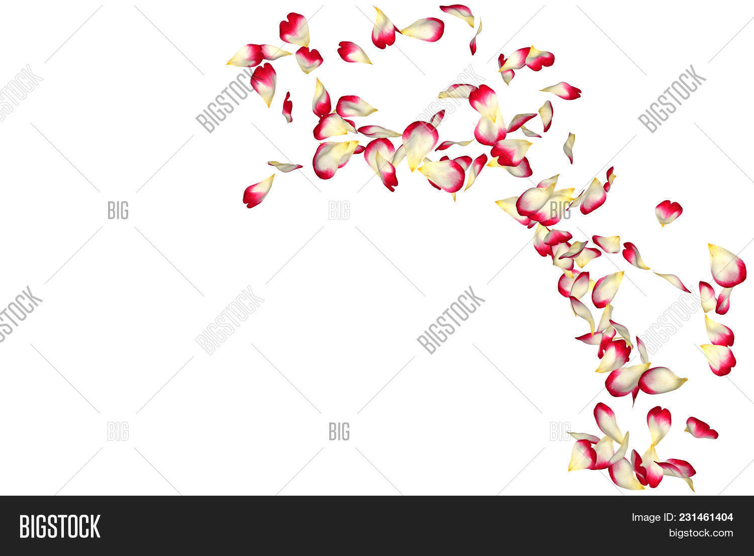 Red Rose Petals Fly Image & Photo (Free Trial) | Bigstock