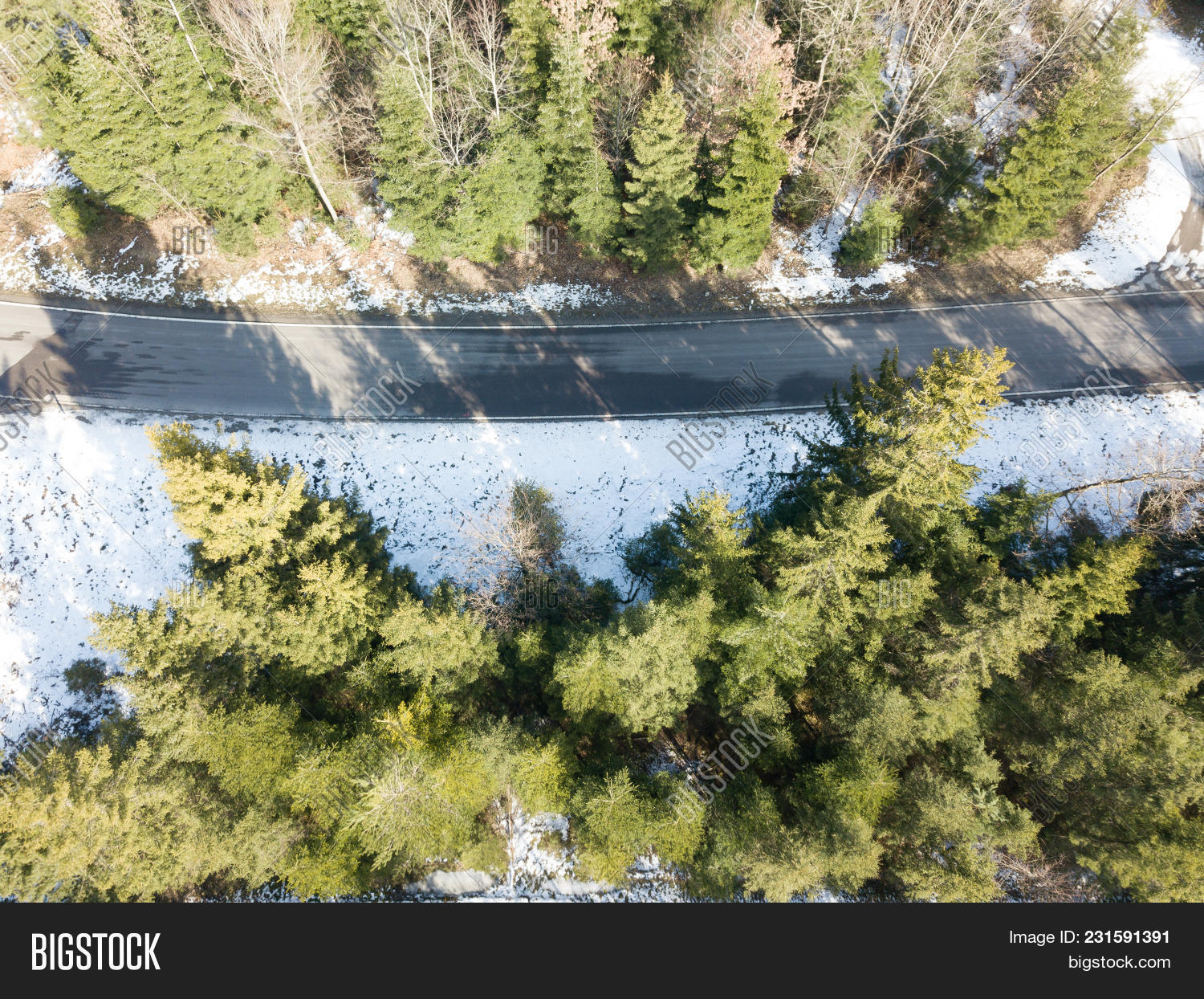 Road Through Forest Image & Photo (Free Trial) | Bigstock