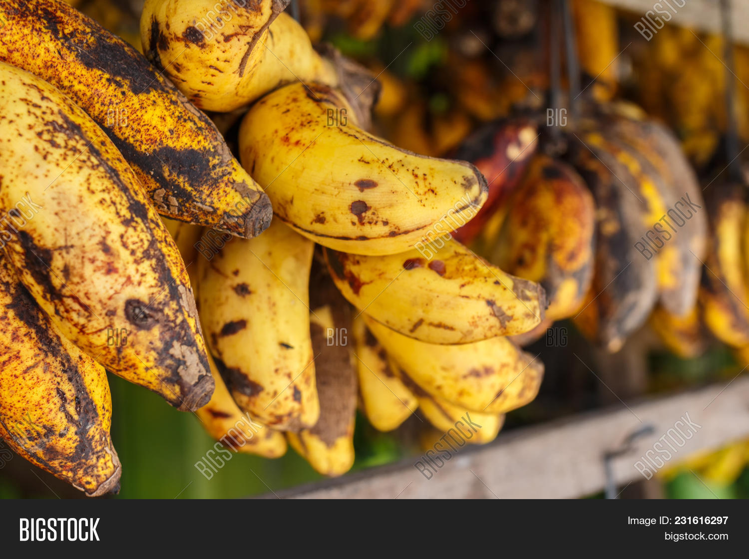 Bundles Bananas On Image & Photo (Free Trial) | Bigstock