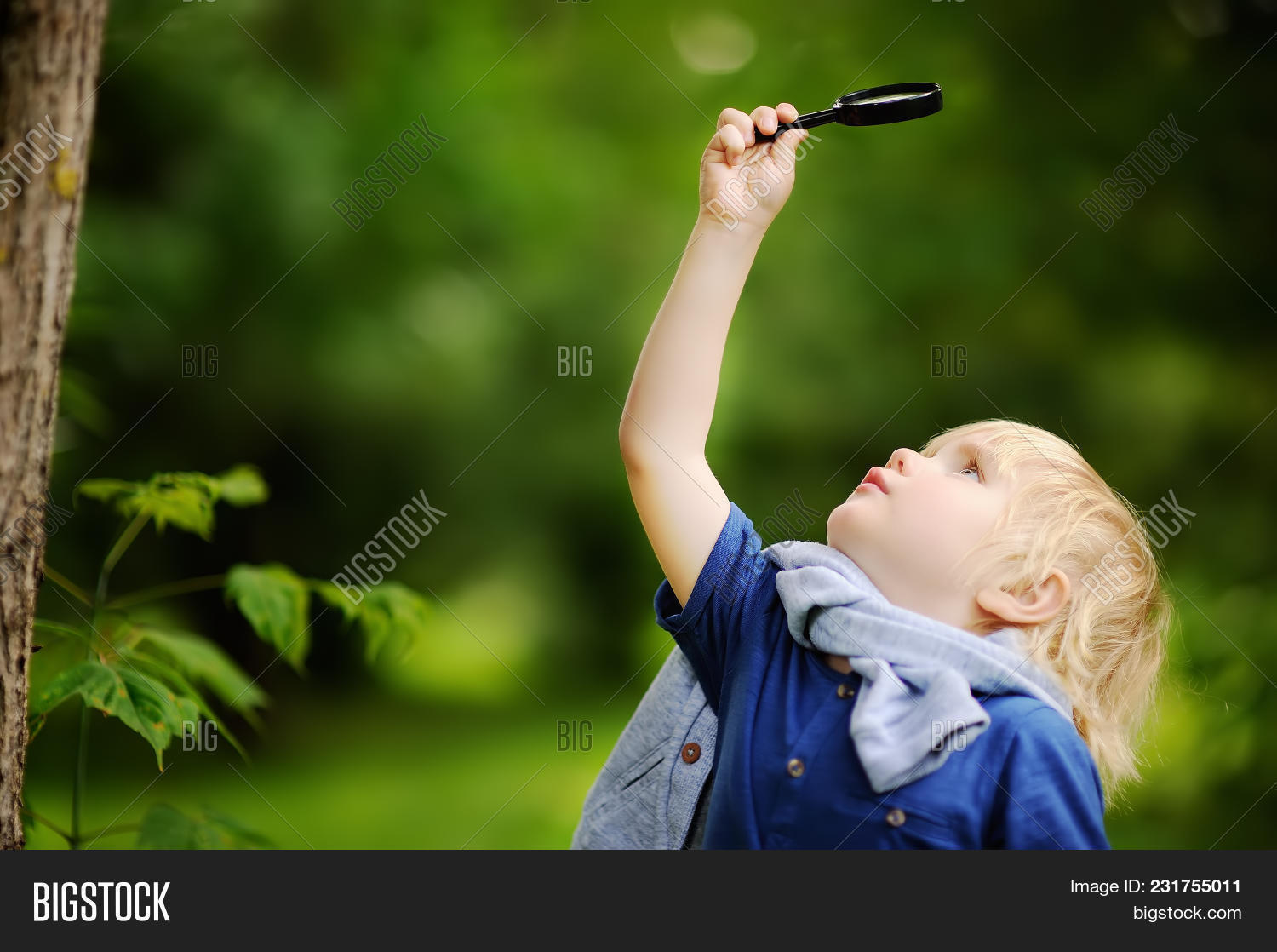Charming Kid Exploring Image & Photo (Free Trial) | Bigstock