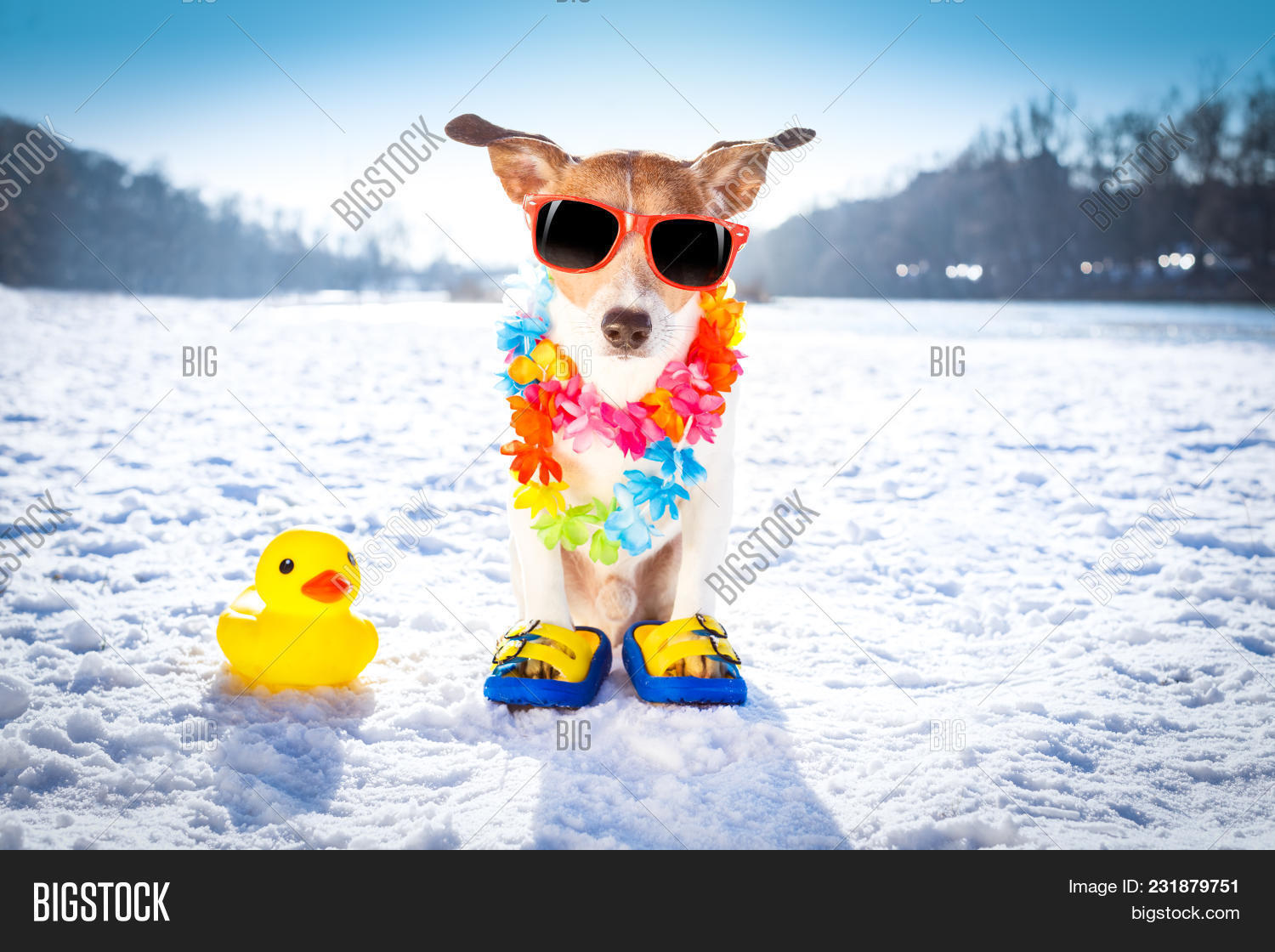 Cool Funny Freezing Image & Photo (Free Trial) | Bigstock