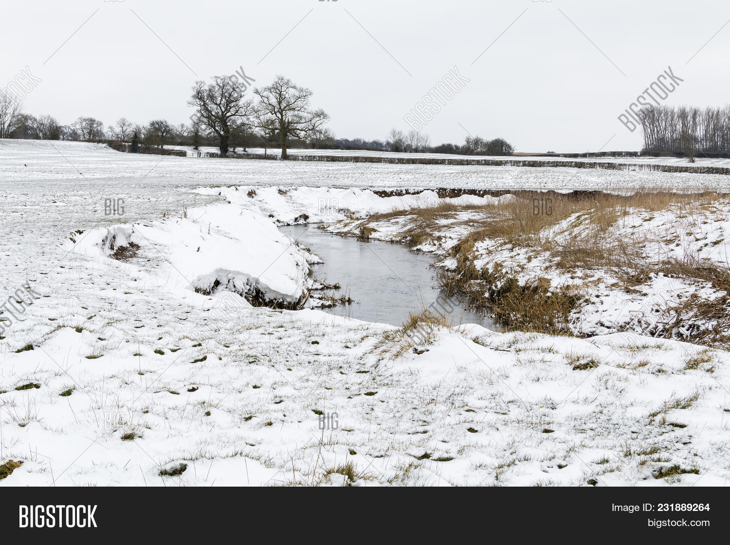 Image Taken On Cold Image & Photo (Free Trial) | Bigstock