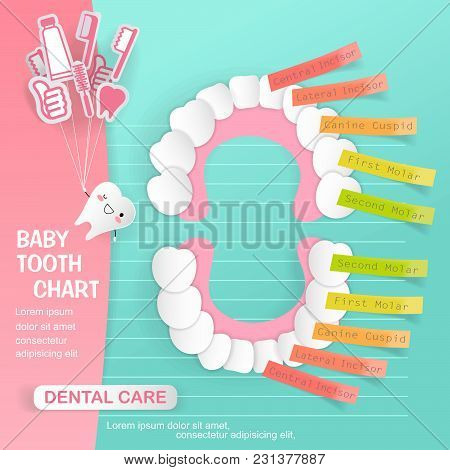 Cartoon Baby Tooth Vector & Photo (Free Trial) | Bigstock
