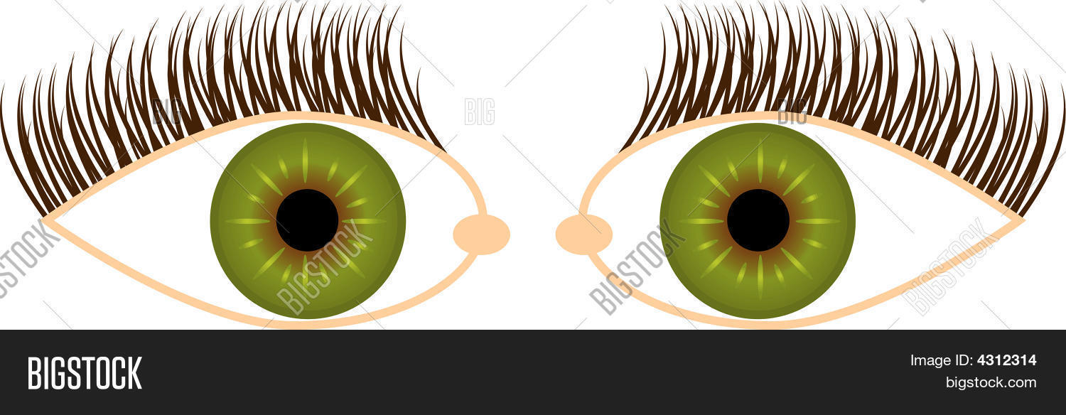 Illustrated Eyes Vector & Photo (Free Trial) | Bigstock
