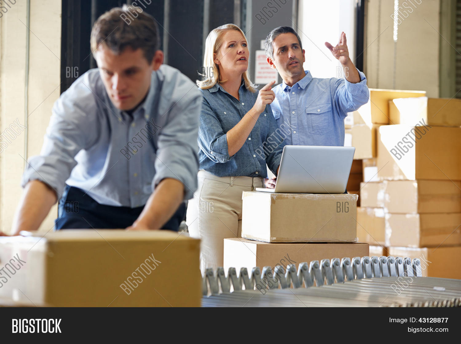 Workers Distribution Image & Photo (Free Trial) | Bigstock