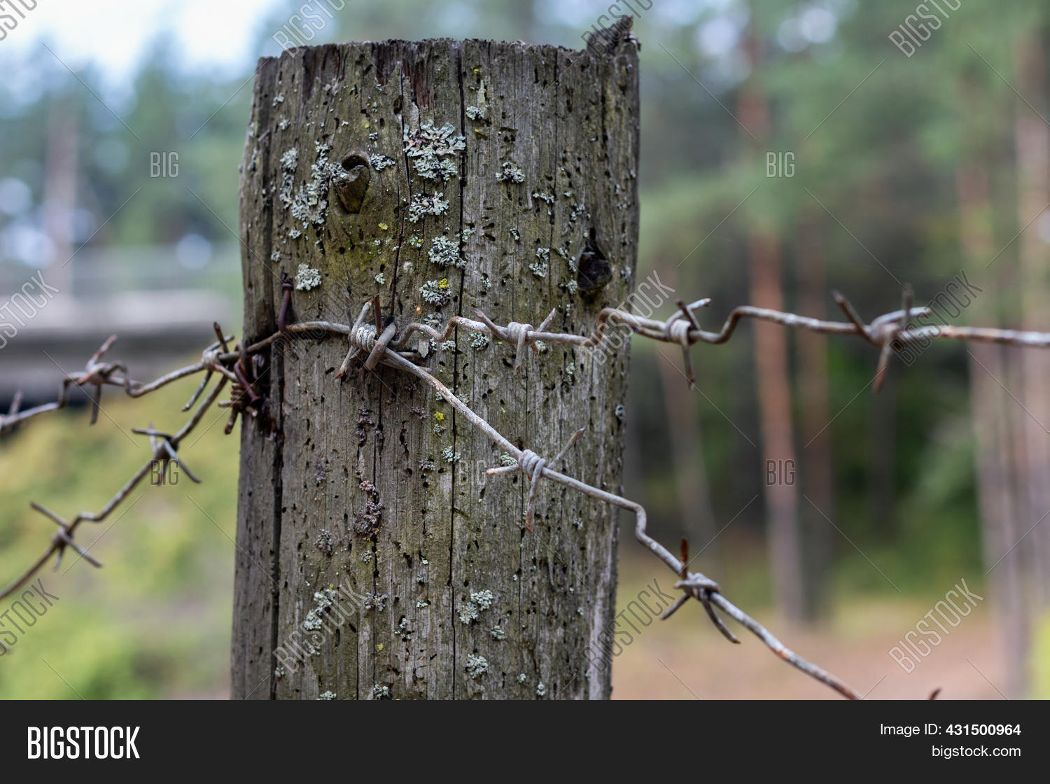 Old Rotten Wooden Image & Photo (Free Trial) | Bigstock