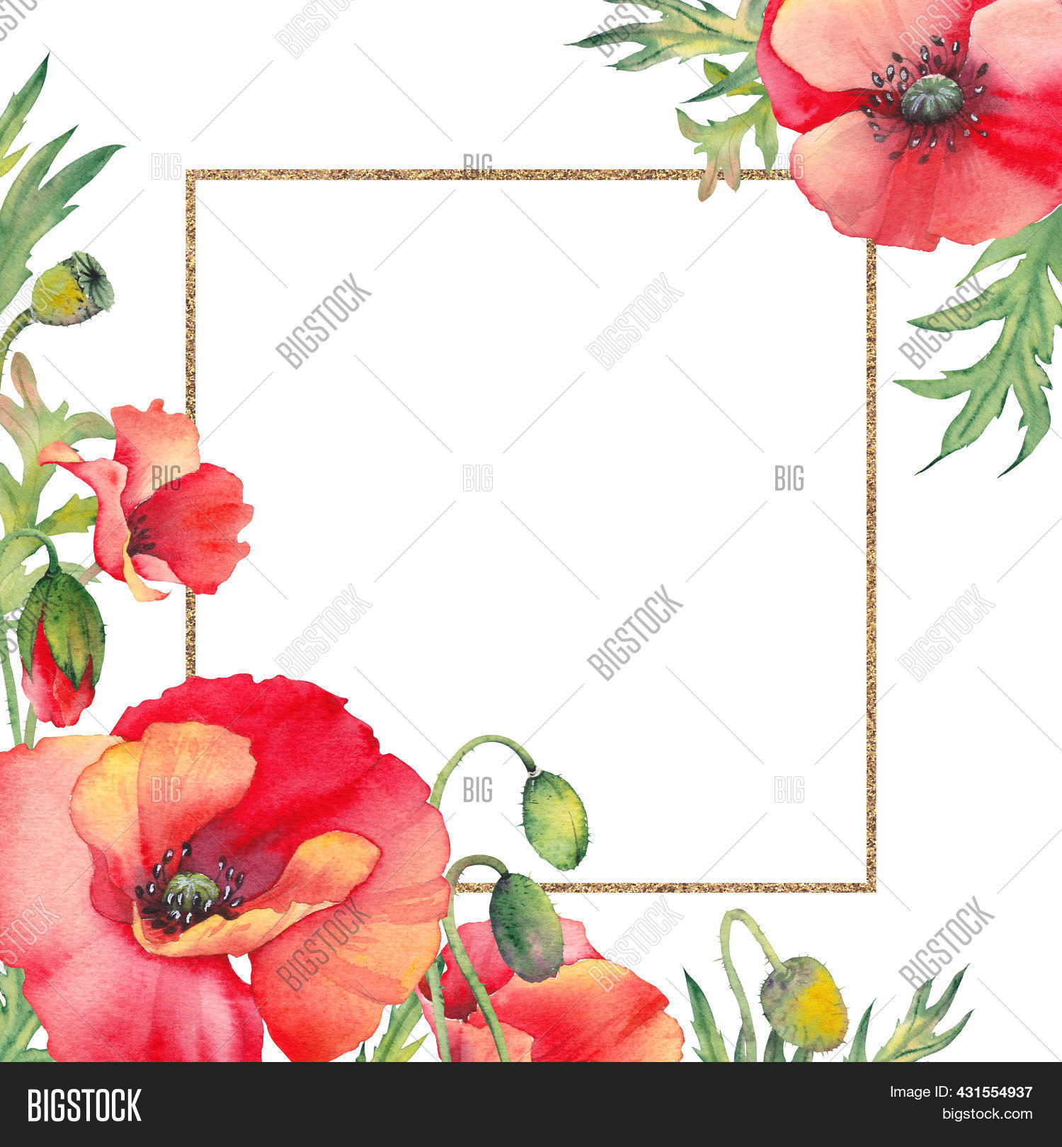 Square Frame Red Poppy Image & Photo (Free Trial) | Bigstock