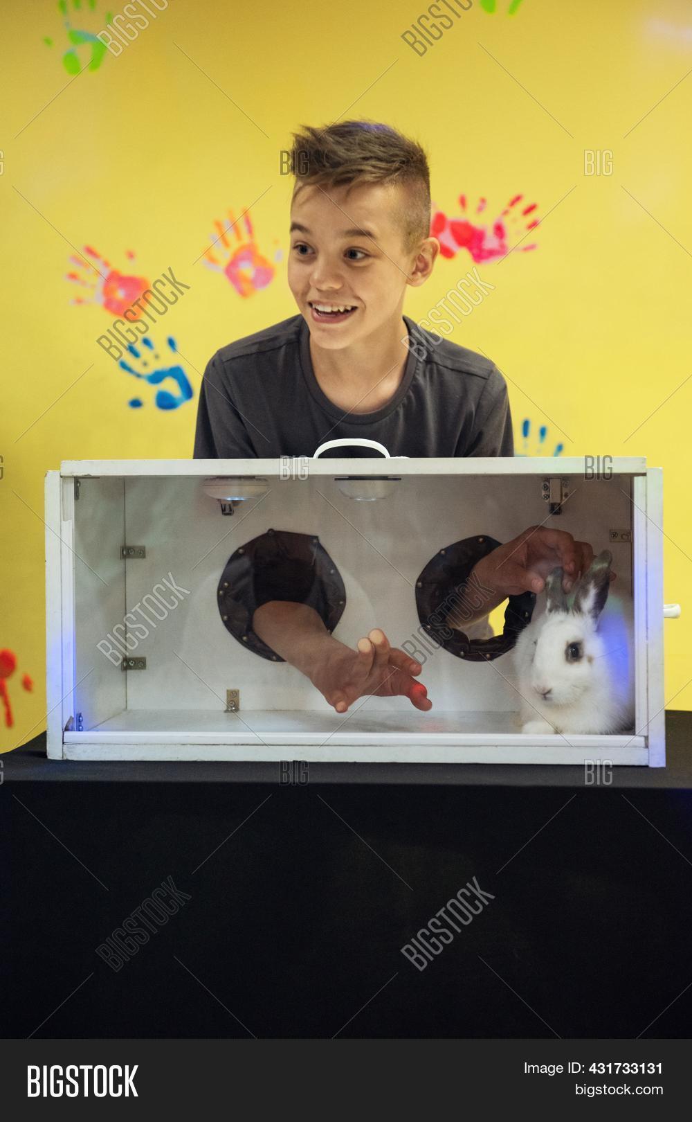 Blind Guess Game By Image & Photo (Free Trial) | Bigstock