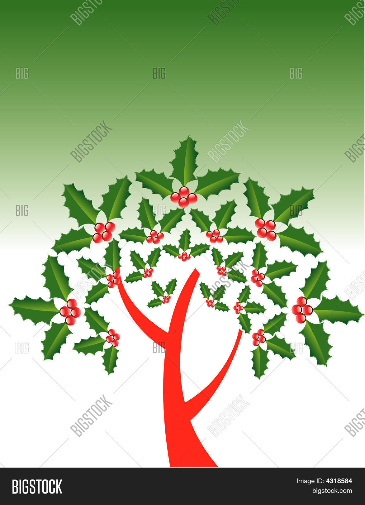 Holly Tree Vector & Photo (Free Trial) | Bigstock