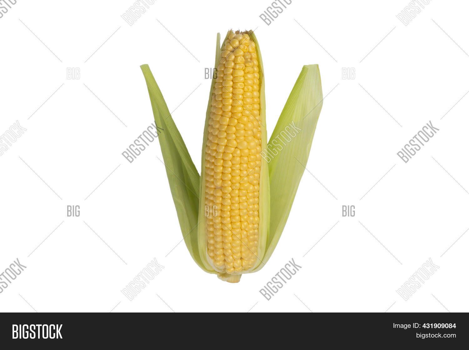 Cob Ripe Sweet Corn Image & Photo (Free Trial) | Bigstock