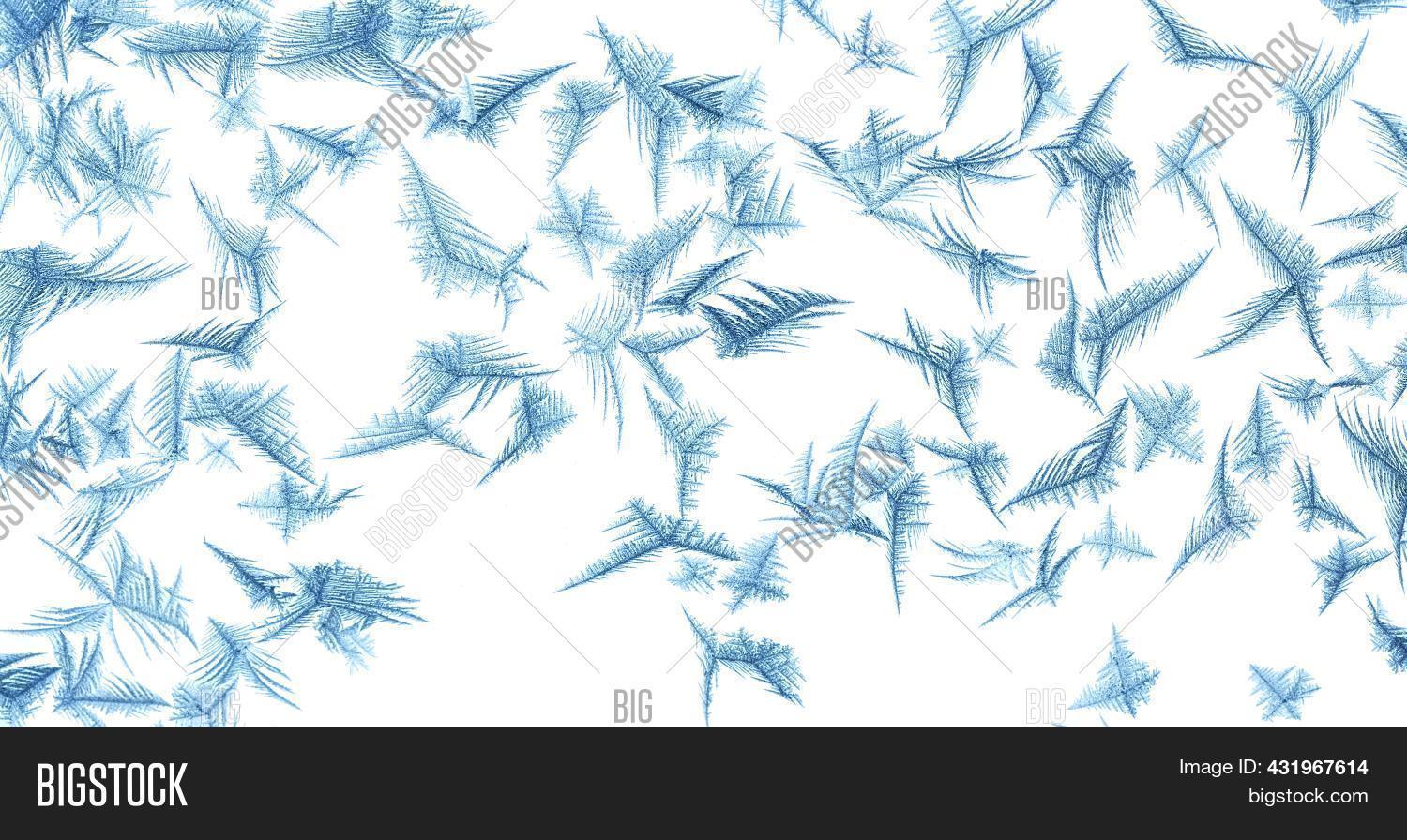 Beautiful Frost Image & Photo (Free Trial) | Bigstock