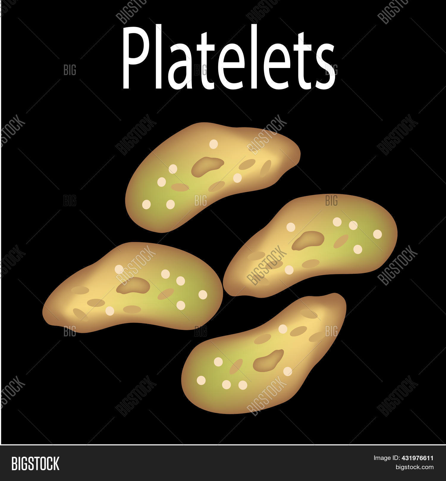 Structure Platelets. Image & Photo (Free Trial) | Bigstock