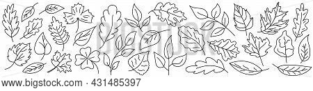 Autumn Leaves. Black Leaves Isolated. Set Of Linear Autumn Leaves ...