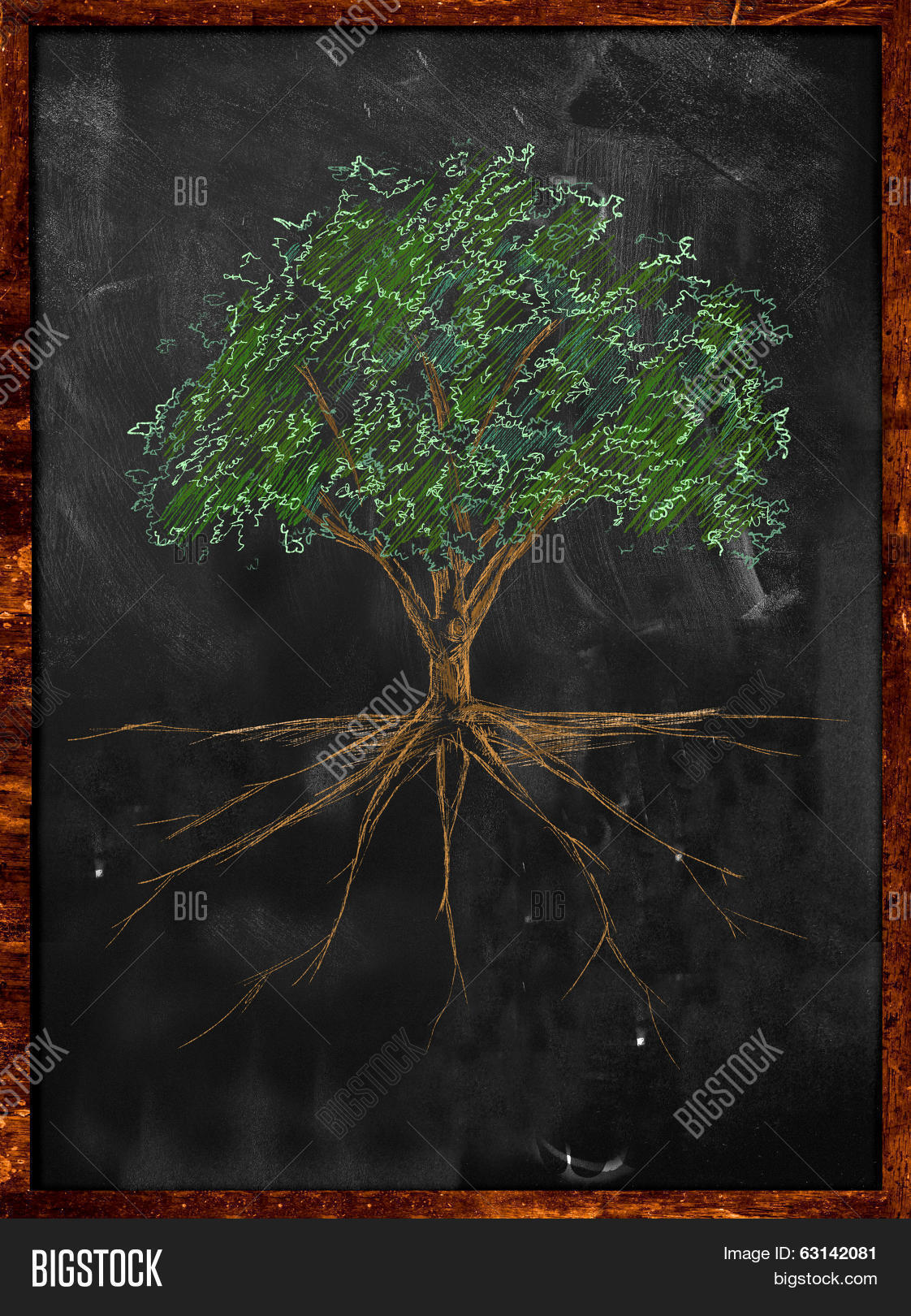 Tree Sketch Color Image & Photo (Free Trial) | Bigstock