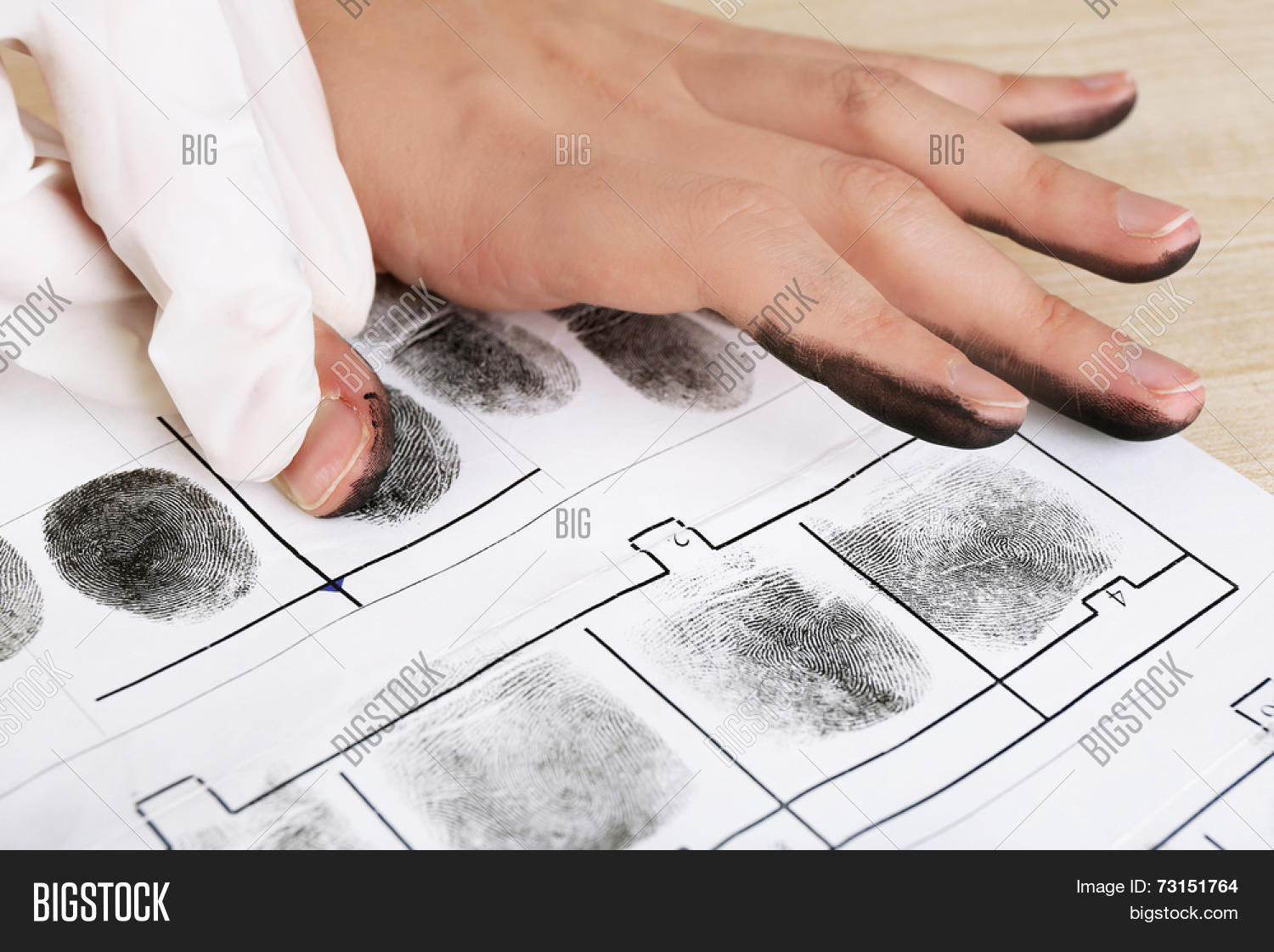 Taking Fingerprints Image & Photo (Free Trial) | Bigstock