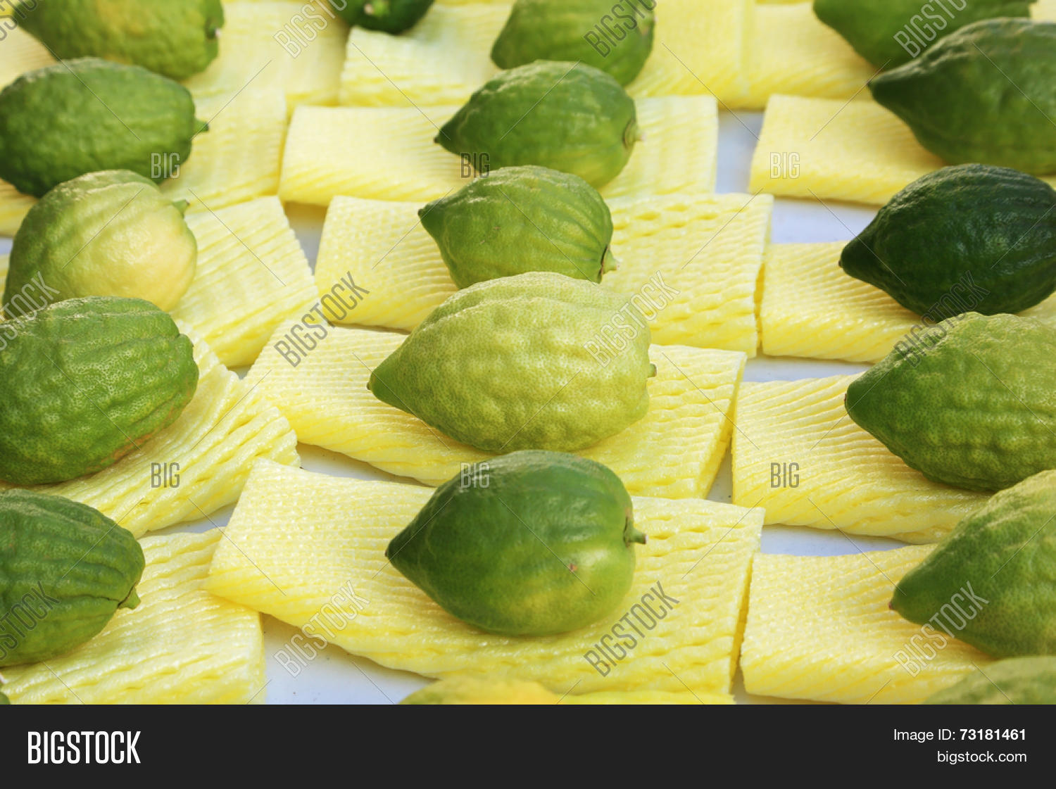 Jewish Holiday Sukkot Image & Photo (Free Trial) | Bigstock