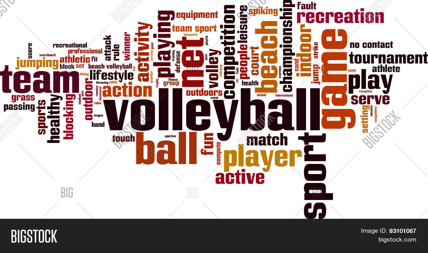 Volleyball Word Cloud Vector & Photo (Free Trial) | Bigstock