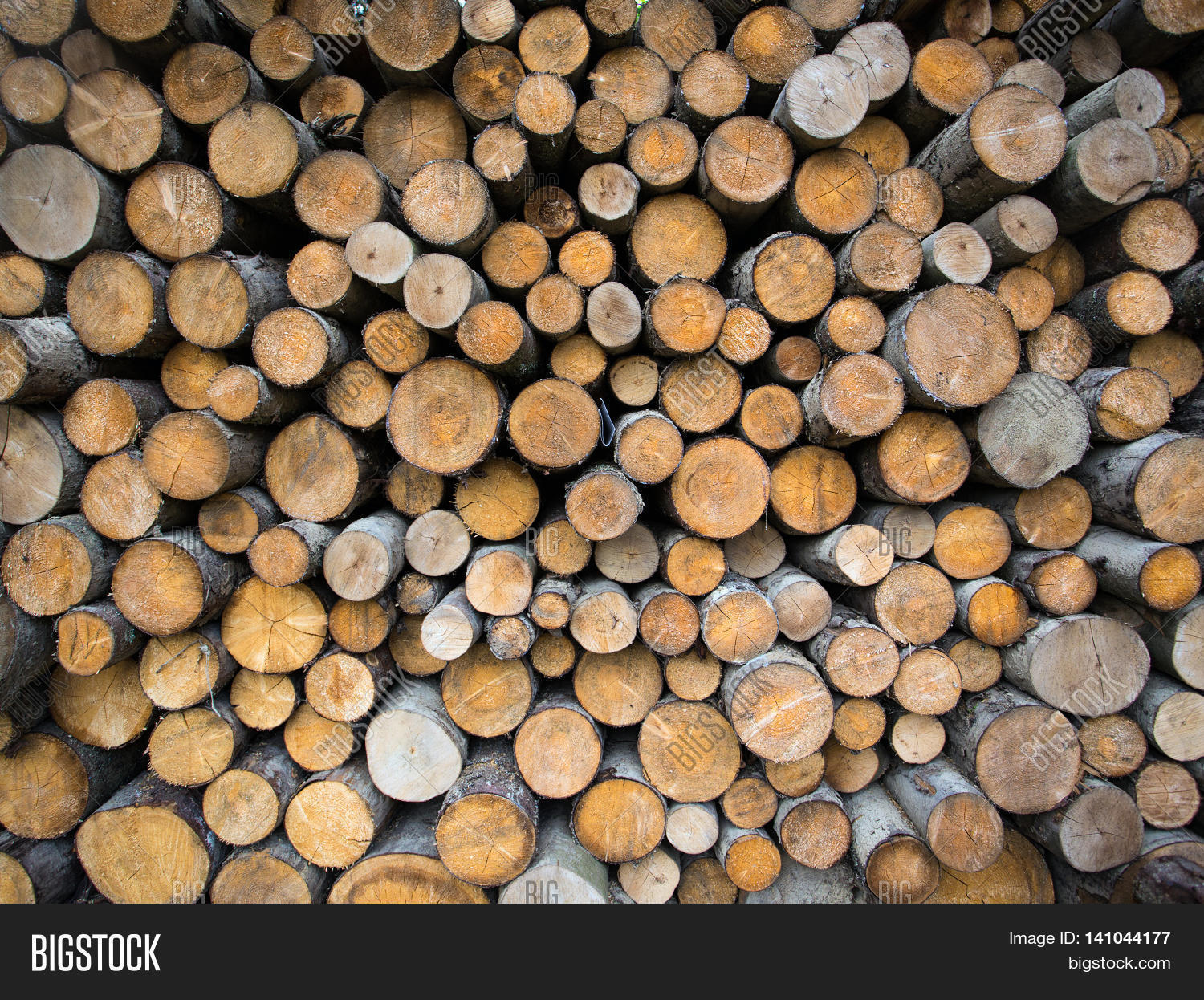 Wooden Log Background Image & Photo (Free Trial) | Bigstock