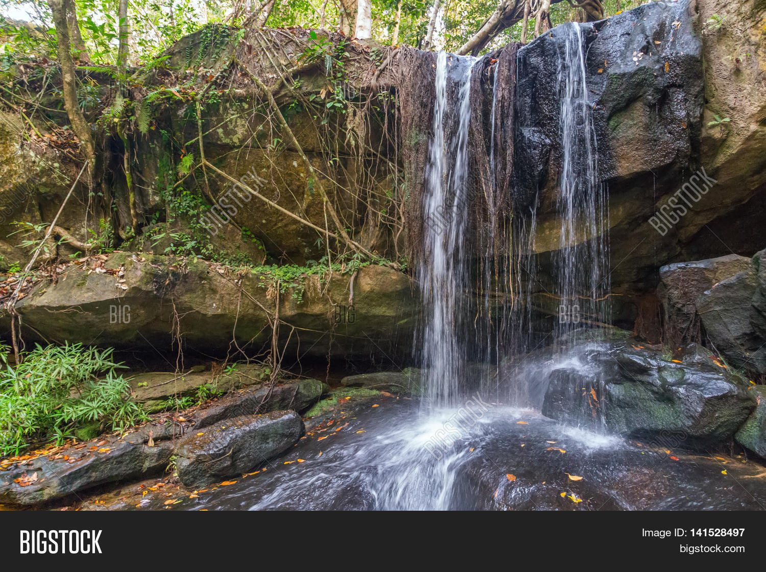 Waterfall Rain Forest Image & Photo (Free Trial) | Bigstock