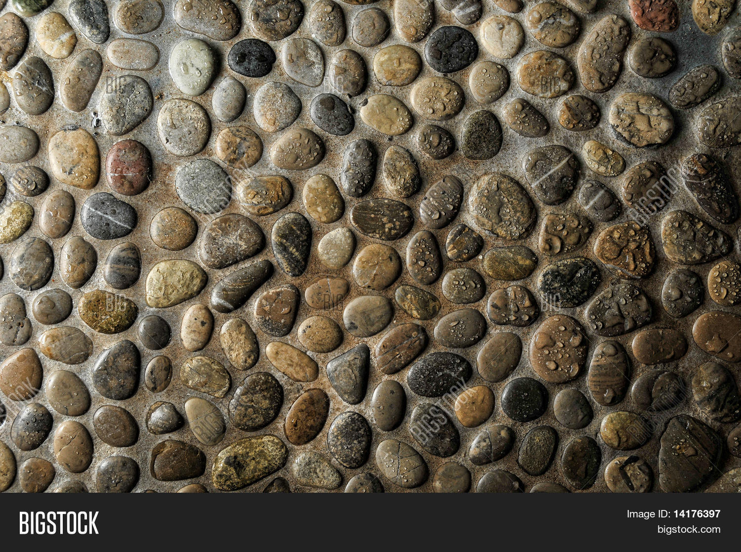 Wet Round Stone Rocks Image & Photo (Free Trial) | Bigstock