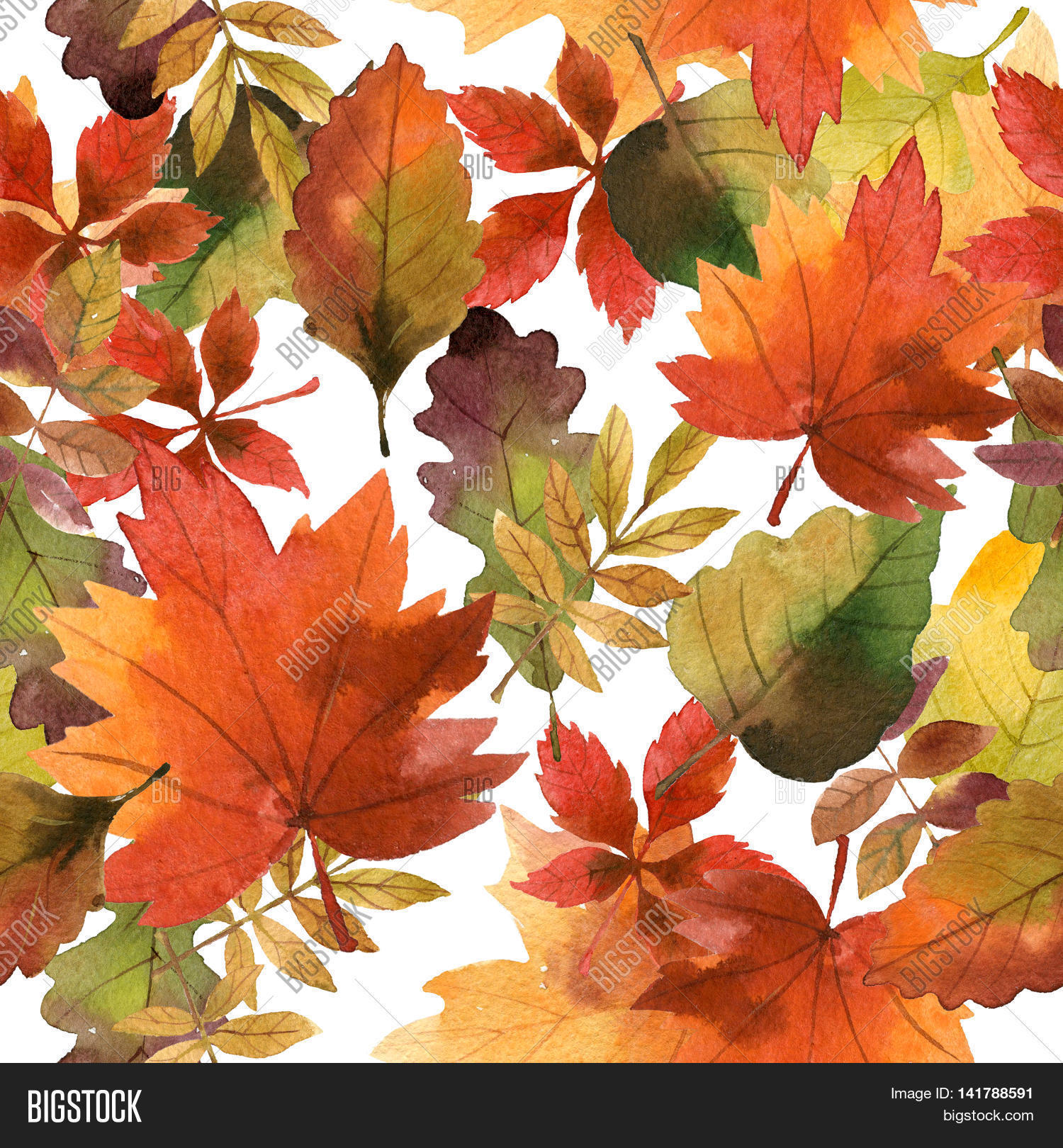Watercolor Autumn Image & Photo (Free Trial) | Bigstock