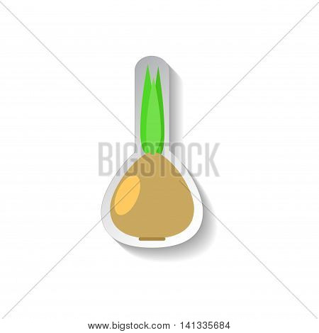Onion Vector Icon Vector & Photo (Free Trial) | Bigstock