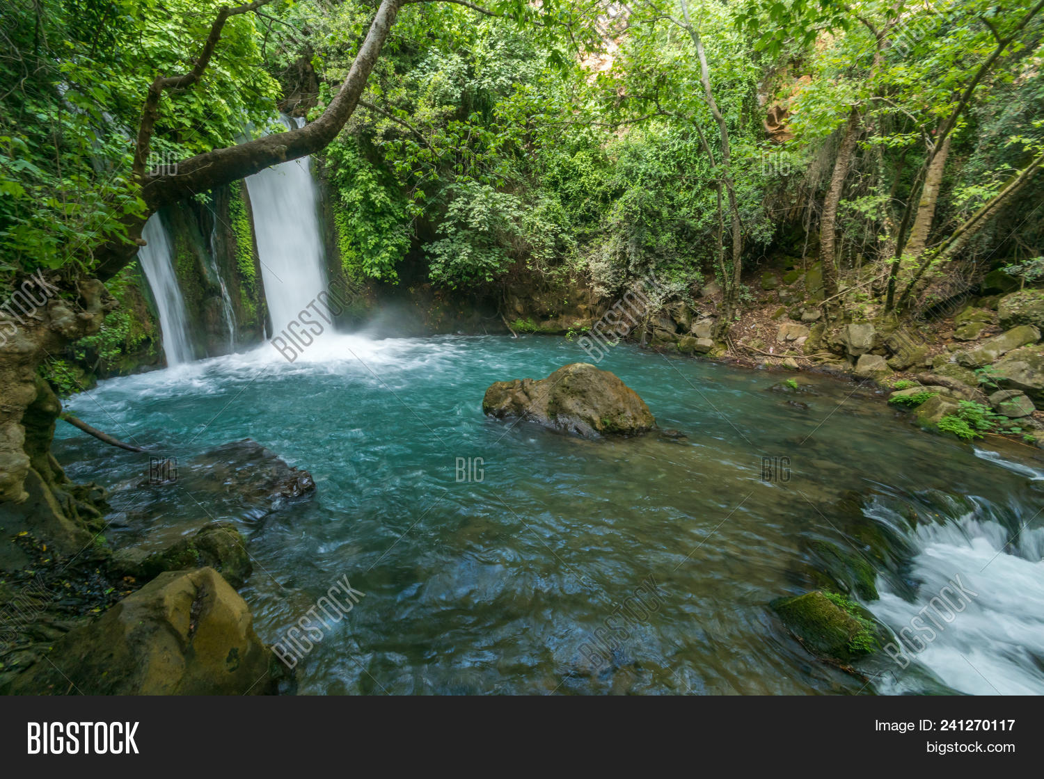 Banias (banyas) Image & Photo (Free Trial) | Bigstock