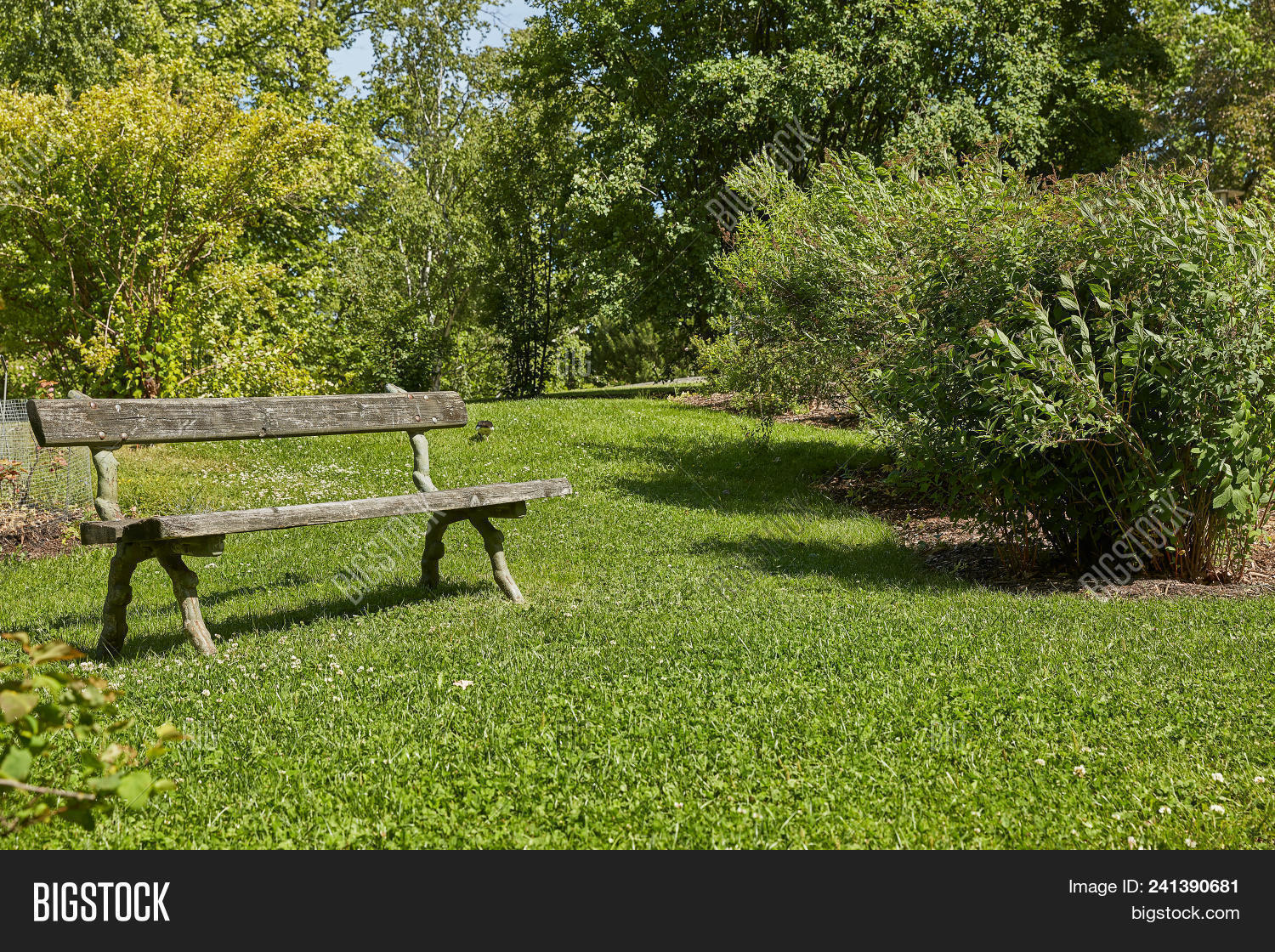 Resting Bench Botanic Image & Photo (Free Trial) | Bigstock