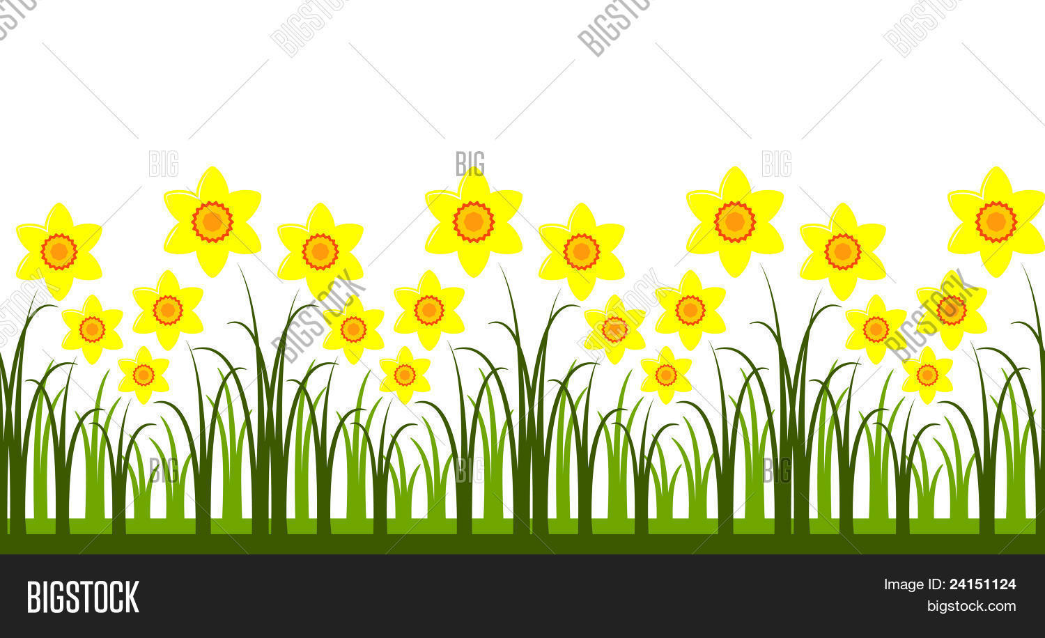 Daffodils Border Vector & Photo (Free Trial) | Bigstock