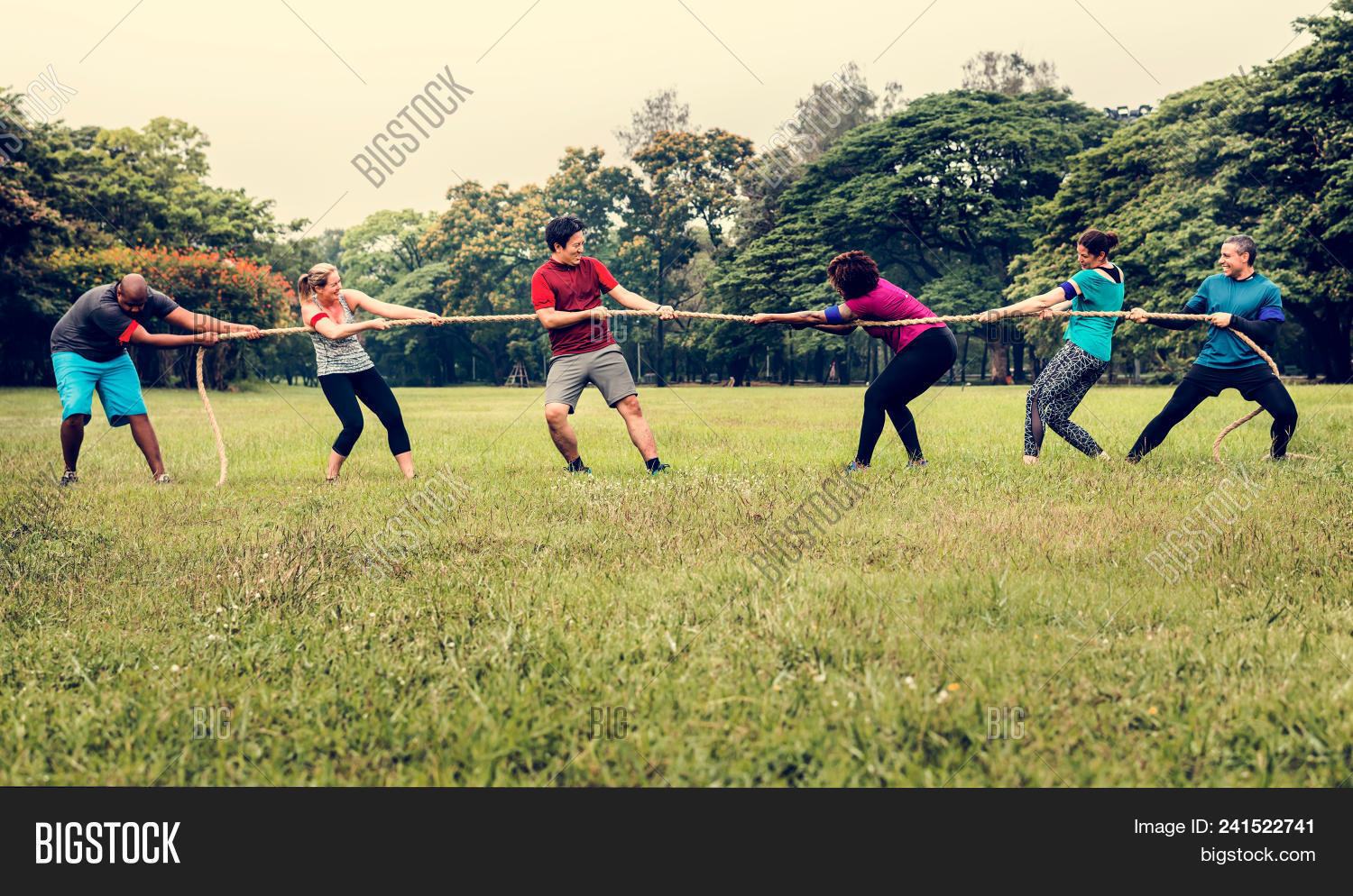 Team Competing Tug War Image & Photo (Free Trial) | Bigstock
