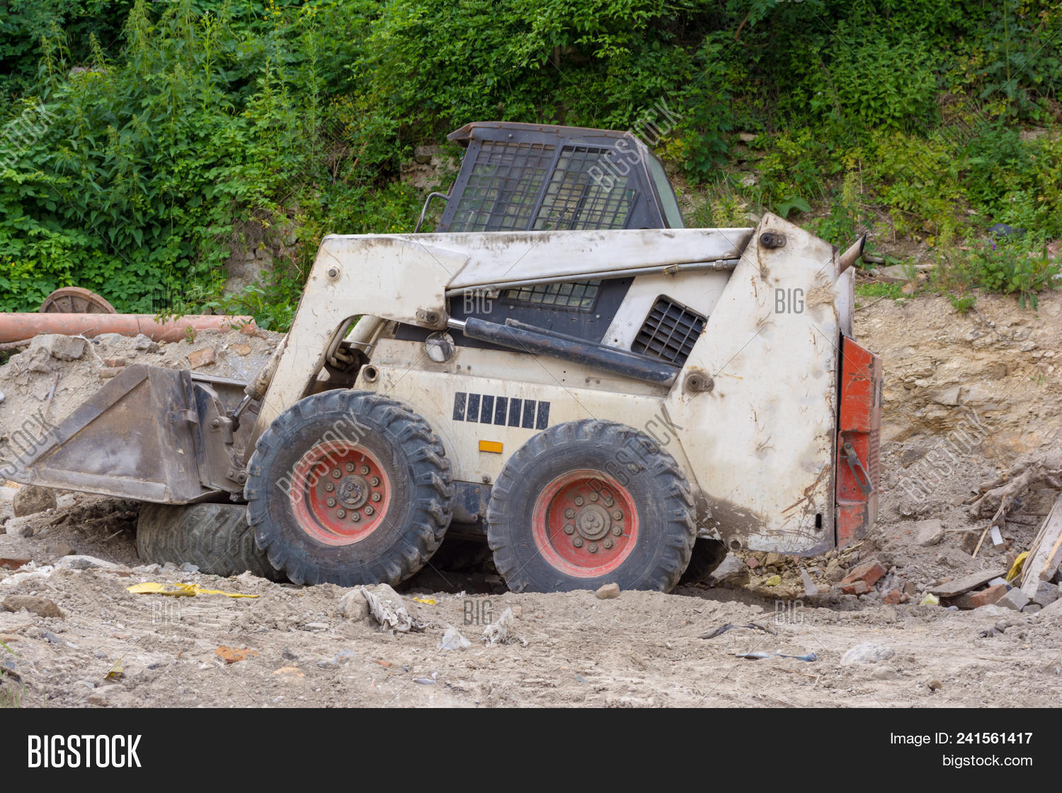Close White Bobcat Image & Photo (Free Trial) | Bigstock