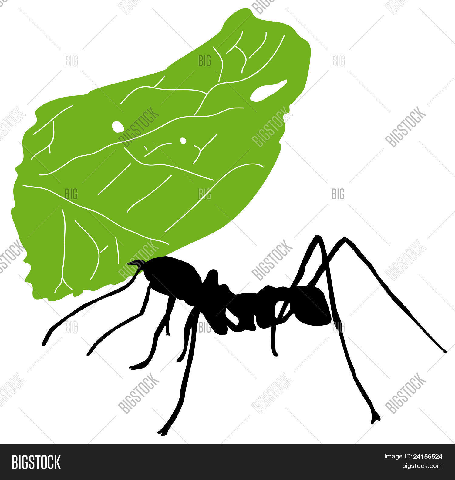 Leaf Cutter Ant Vector & Photo (Free Trial) | Bigstock