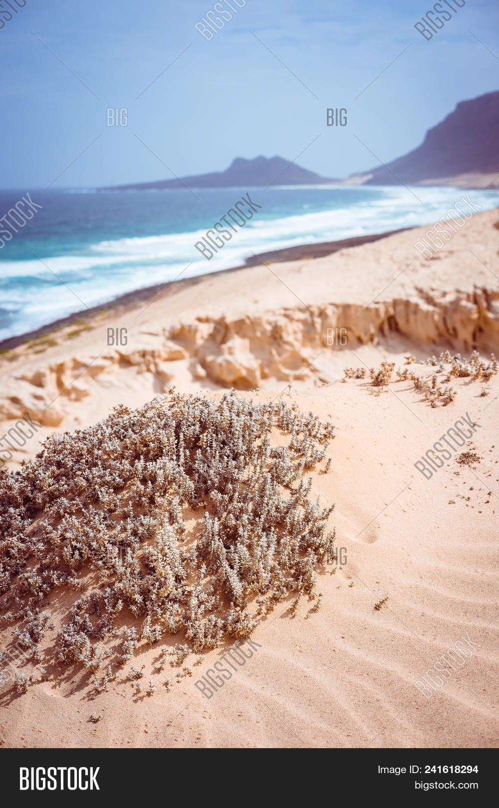 Stunning Desolate Image & Photo (Free Trial) | Bigstock