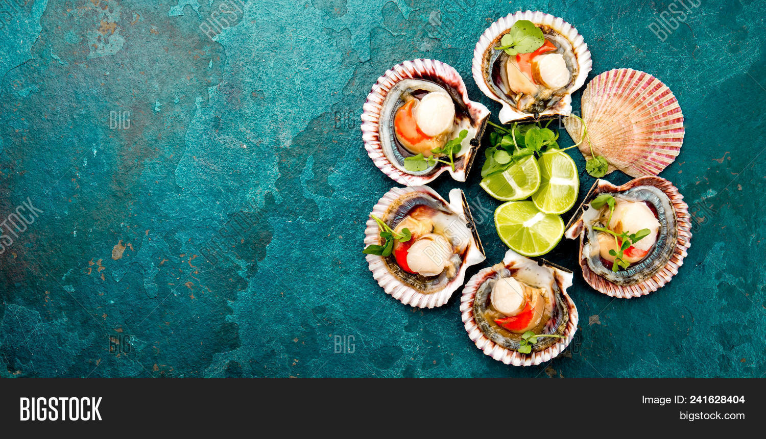 Raw Opened Shellfish Image & Photo (Free Trial) | Bigstock