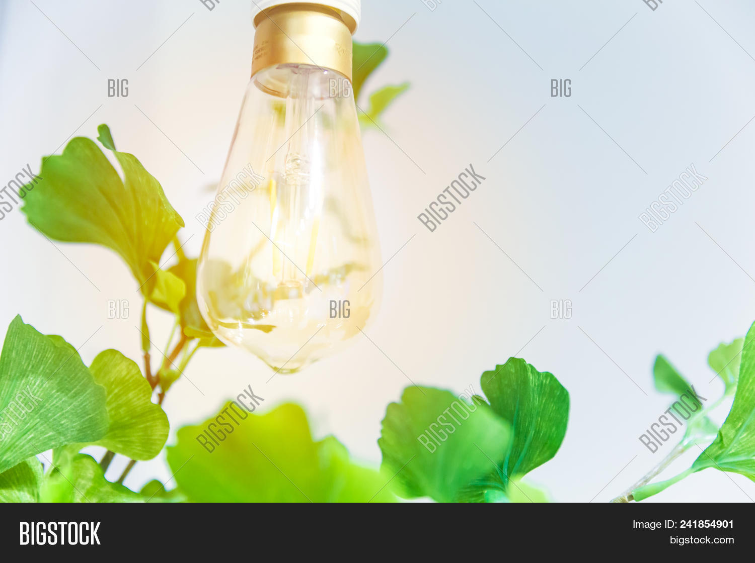 Light Bulb Nature Image & Photo (Free Trial) | Bigstock