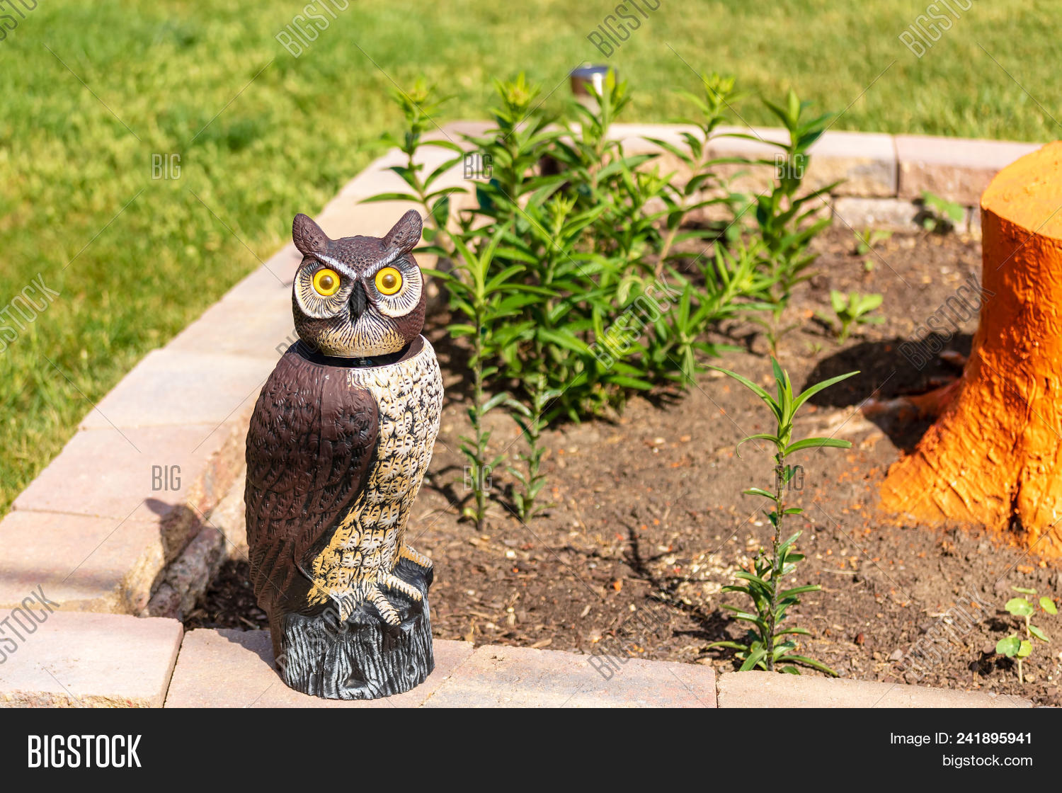 Woodsy Decoy Owl Image & Photo (Free Trial) | Bigstock