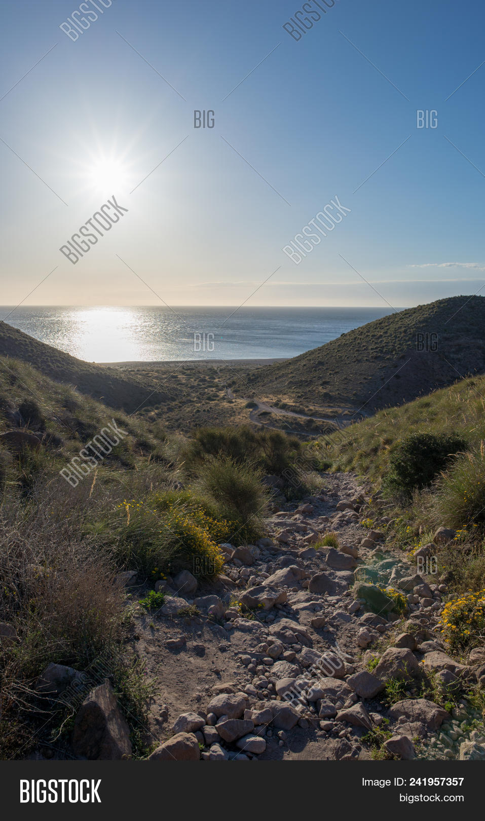 Beach Dead Sun Blue Image & Photo (Free Trial) | Bigstock