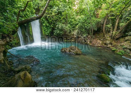 Banias (banyas) Image & Photo (Free Trial) | Bigstock
