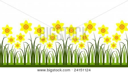 Daffodils Border Vector & Photo (Free Trial) | Bigstock